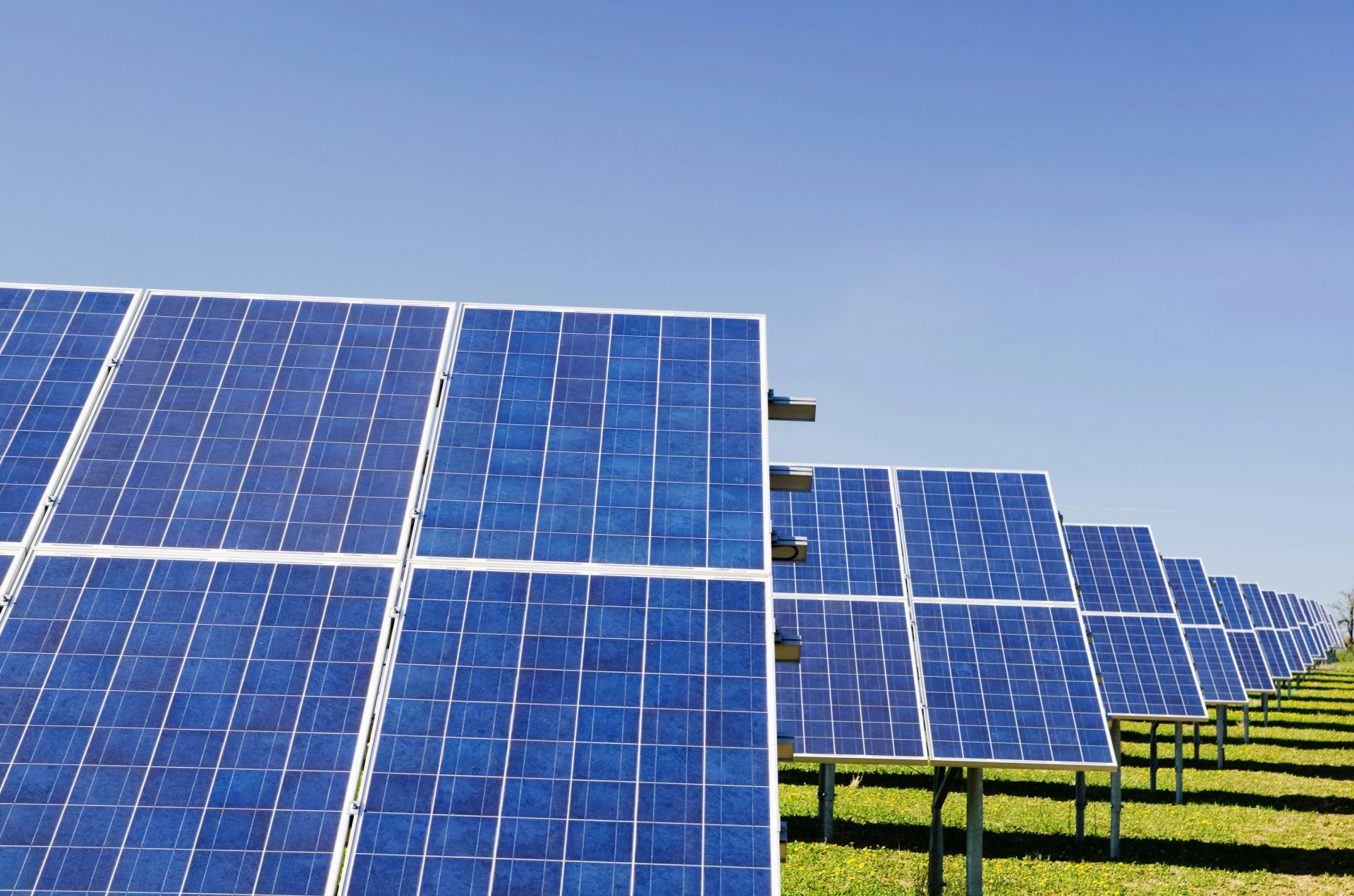 Green Growth Program | Sustainable Development for a Better Planet