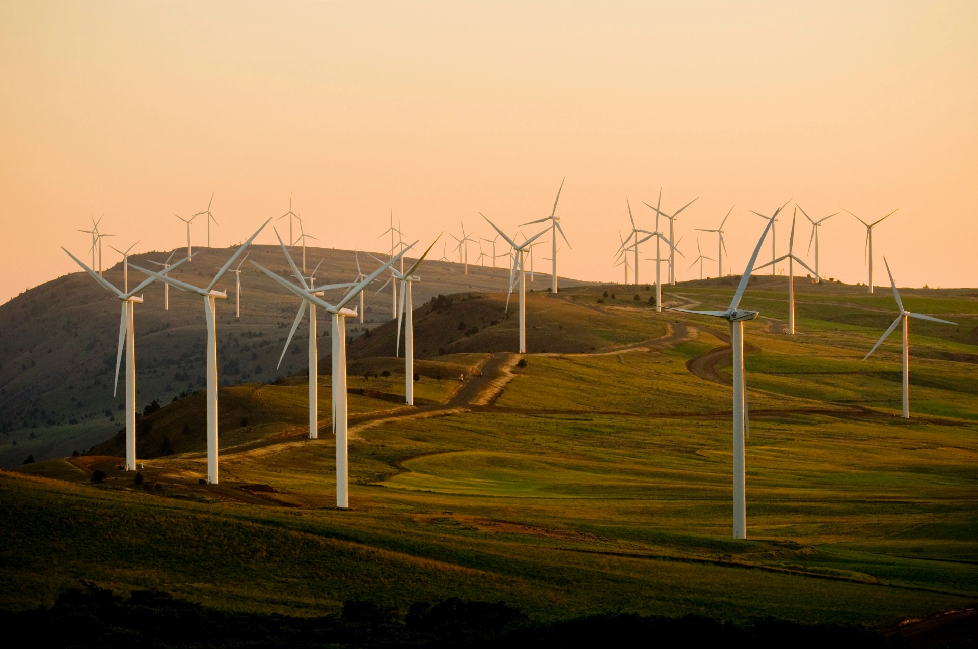Green Growth Program | Sustainable Development for a Better Planet