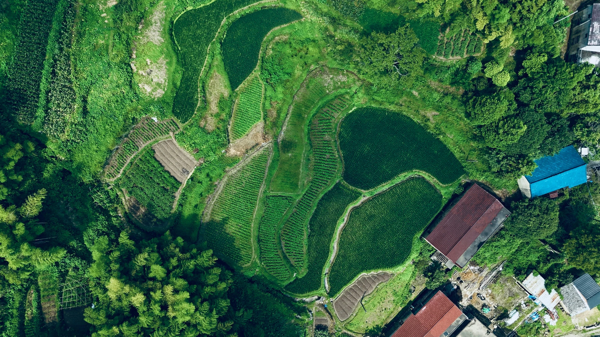 Green Growth Program | Sustainable Development for a Better Planet